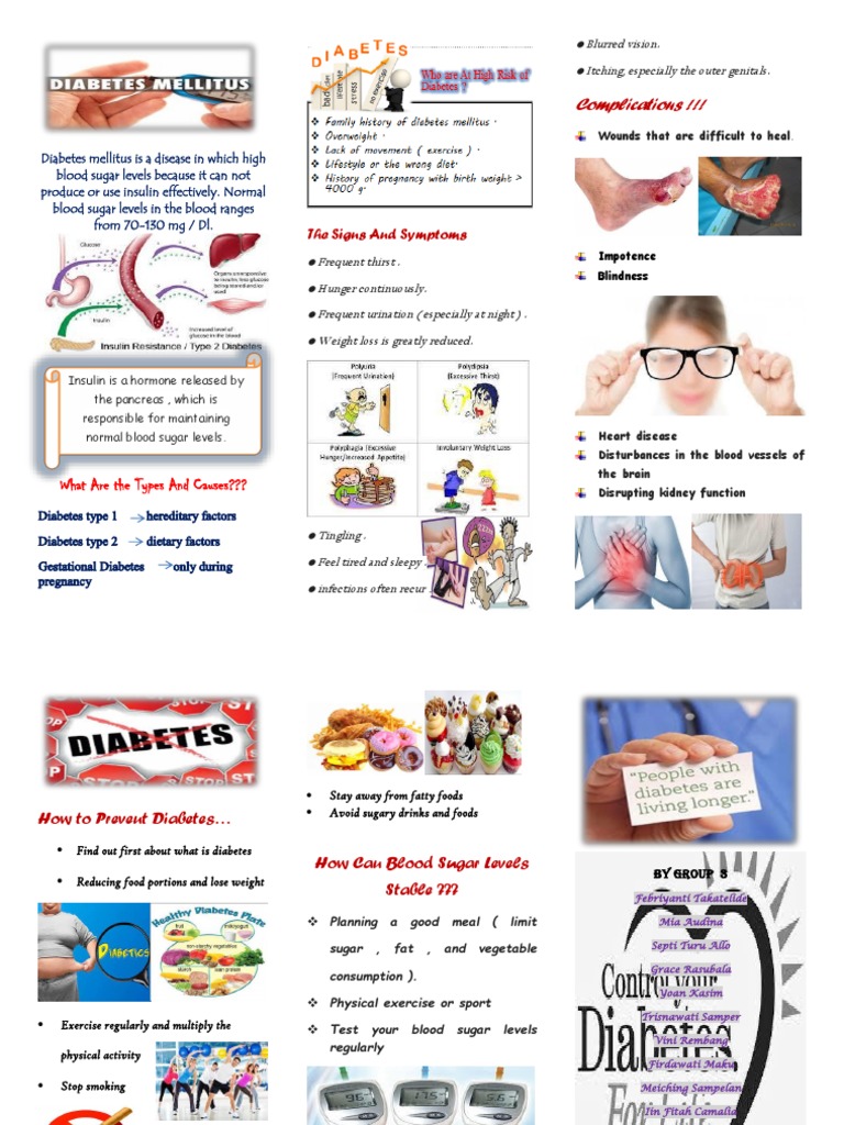 Leaflet DM | PDF | Blood Sugar | Diabetes Mellitus
