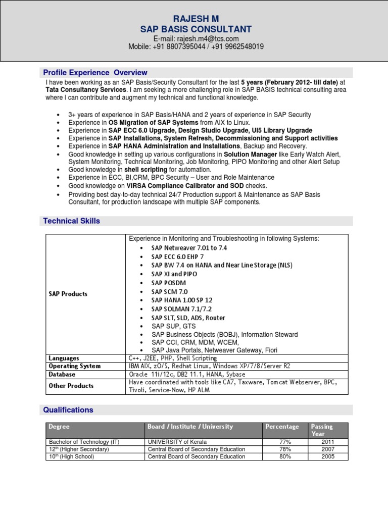 SAP BASIS Security | PDF | Sap Se | Oracle Corporation