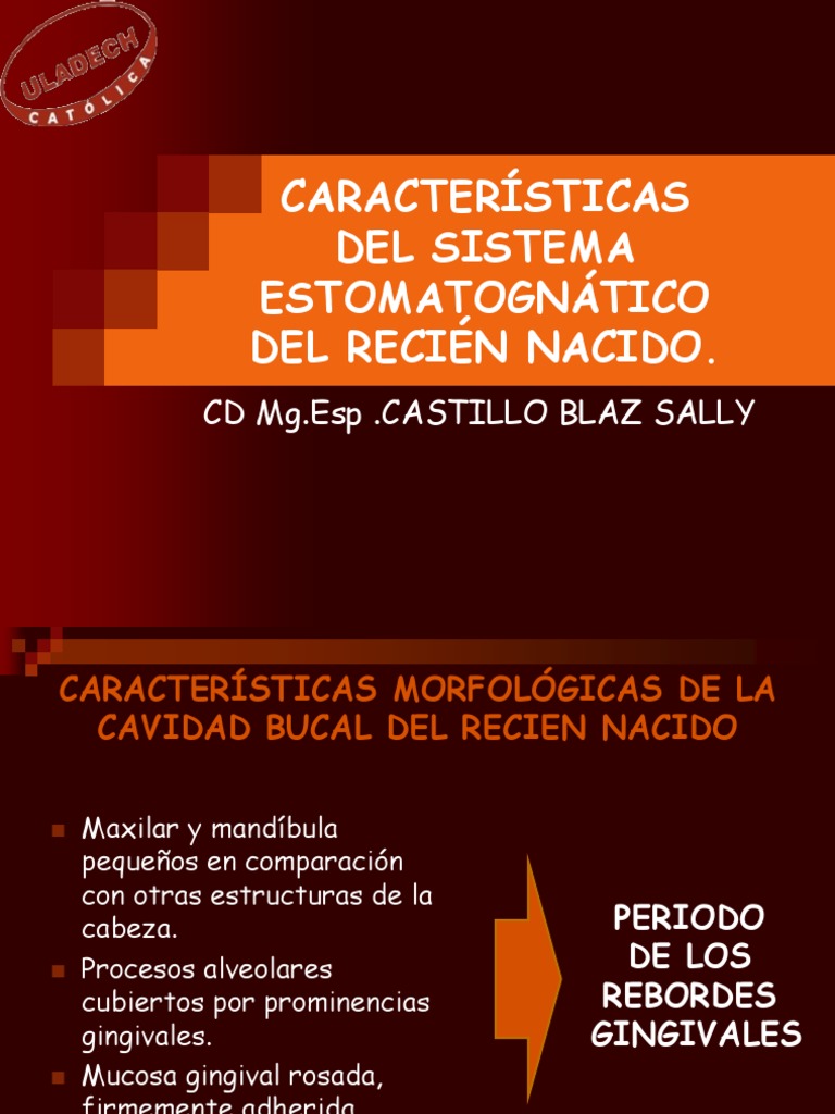 Características Morfológicas BB Diapositivas C.D. Sally Castillo | PDF ...