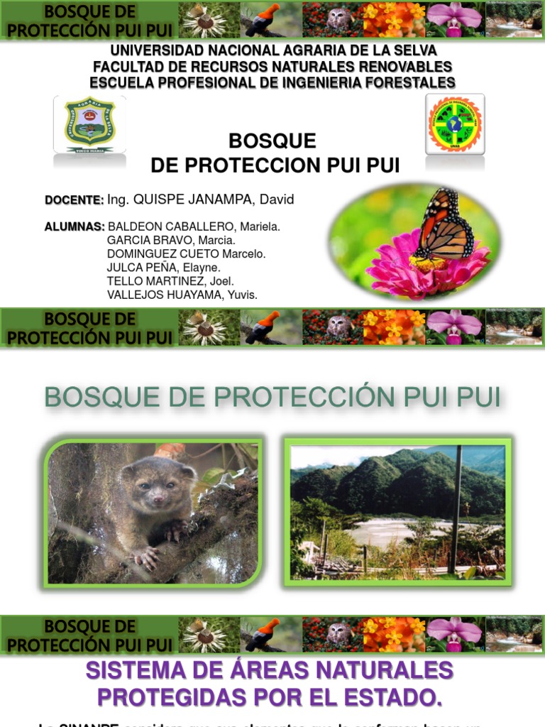 PUI PUI Parte 1 | PDF | Andes | Los bosques