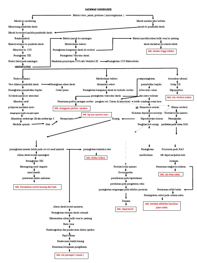 Pathway Meningitis | PDF