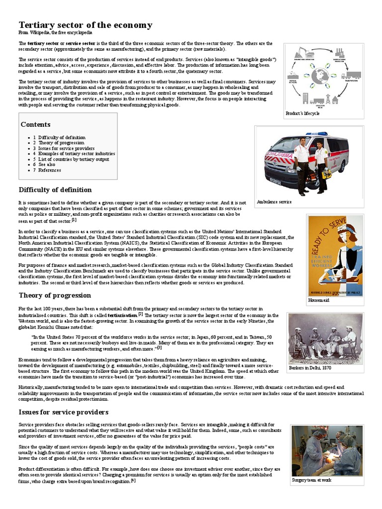 Tertiary (Service) Sector of The Economy | PDF | Tertiary Sector Of The ...