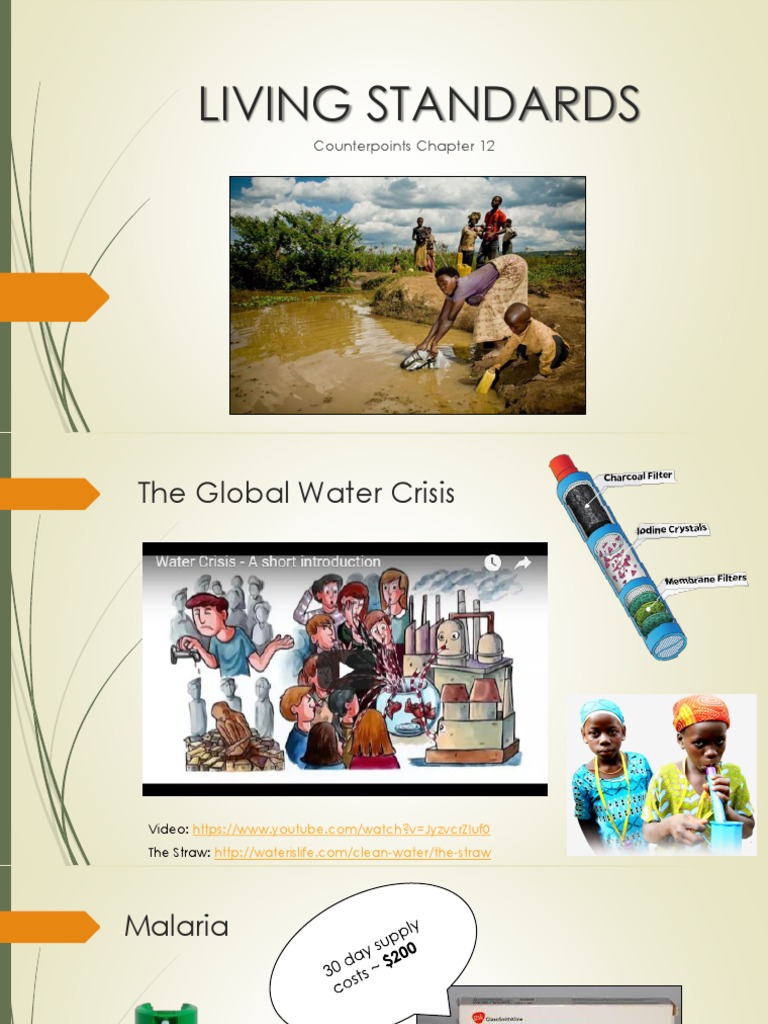 Living Standards PPT pt2 | PDF | Aids | Epidemiology Of Hiv/Aids