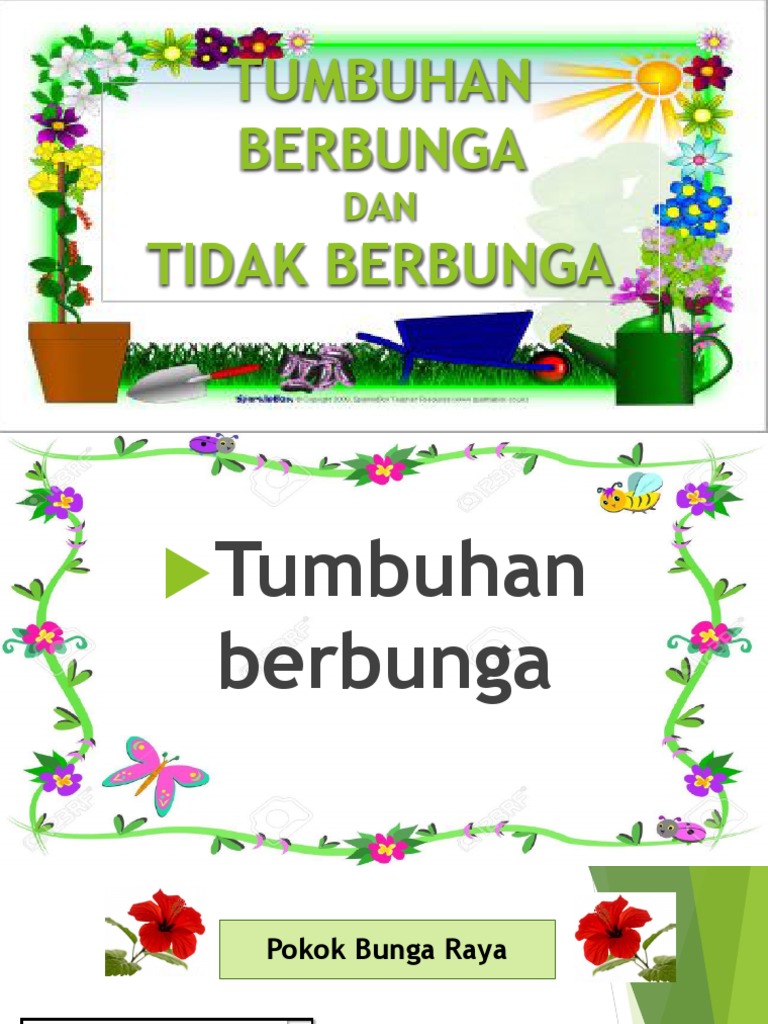 Tumbuhan Berbunga Tidak Berbunga | PDF
