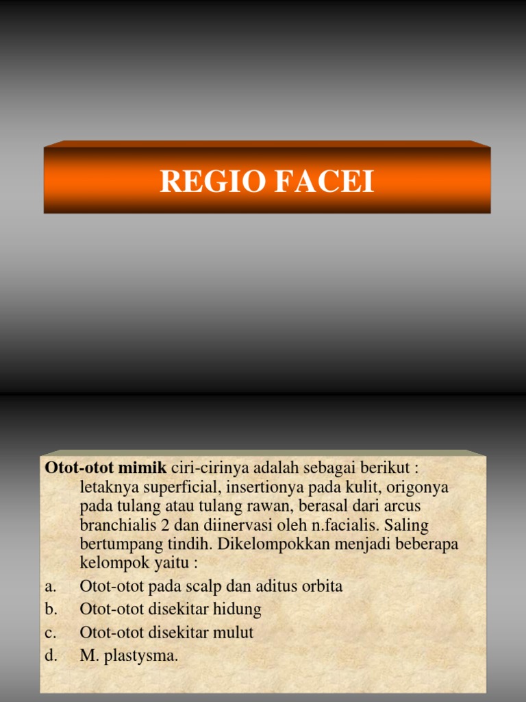 Regio Facei | PDF