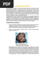 Infarto Intestinal Mesentérico | PDF | Isquemia | Infarto de miocardio