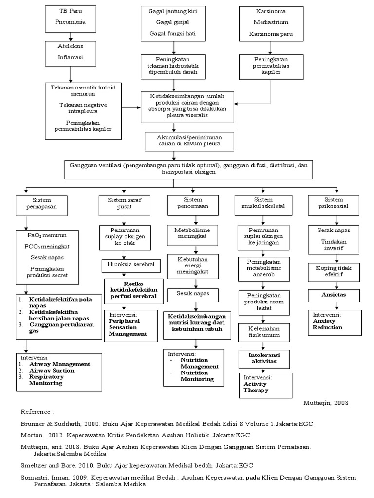 Pathway Efusi Pleura | PDF