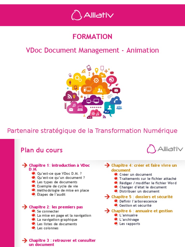 45 VDDM Animation 2010 FR | PDF | Microsoft Word | Microsoft SQL Server