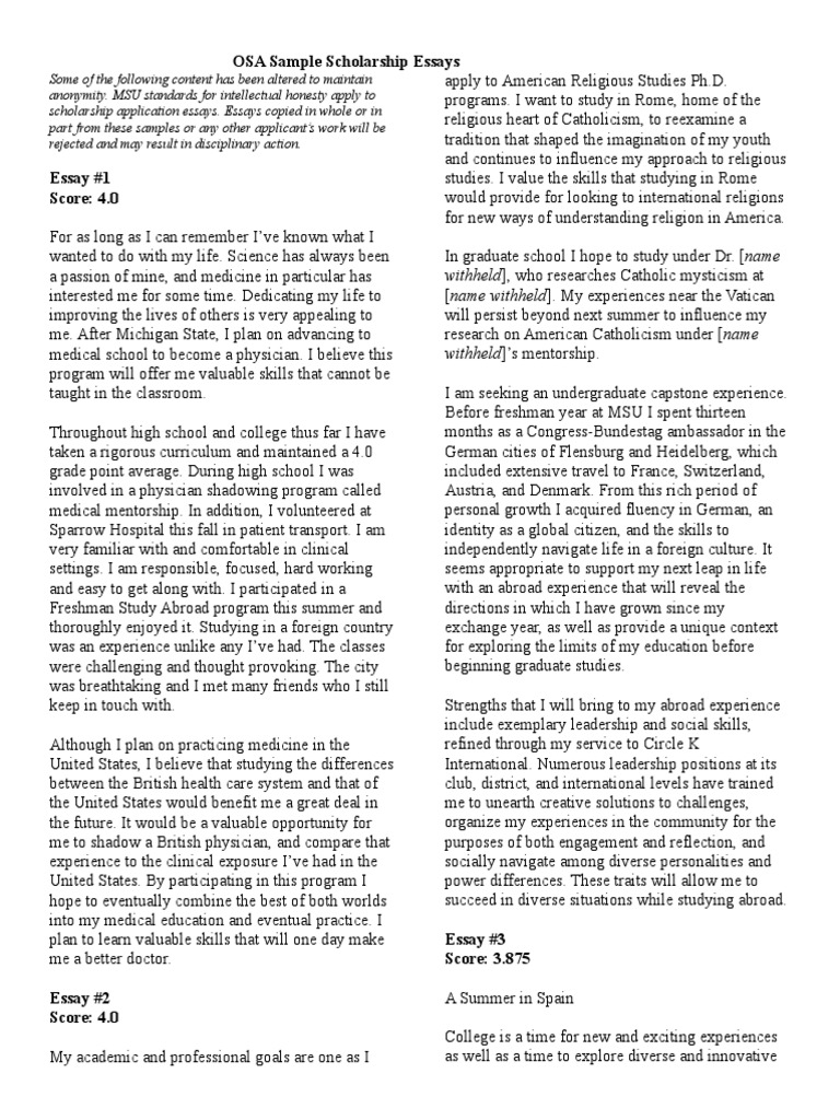 Sample Scholarship Application Essays | PDF | Michigan State University ...
