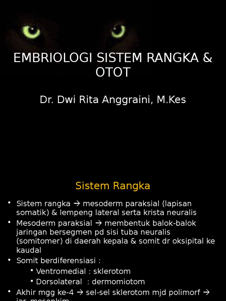 Embriologi Sistem Rangka dan Otot | PDF | Otot | Anatomi Manusia