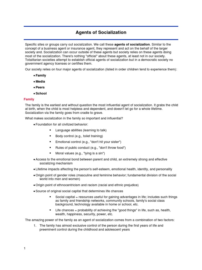 Agents Socialization | PDF | Socialization | Social Group