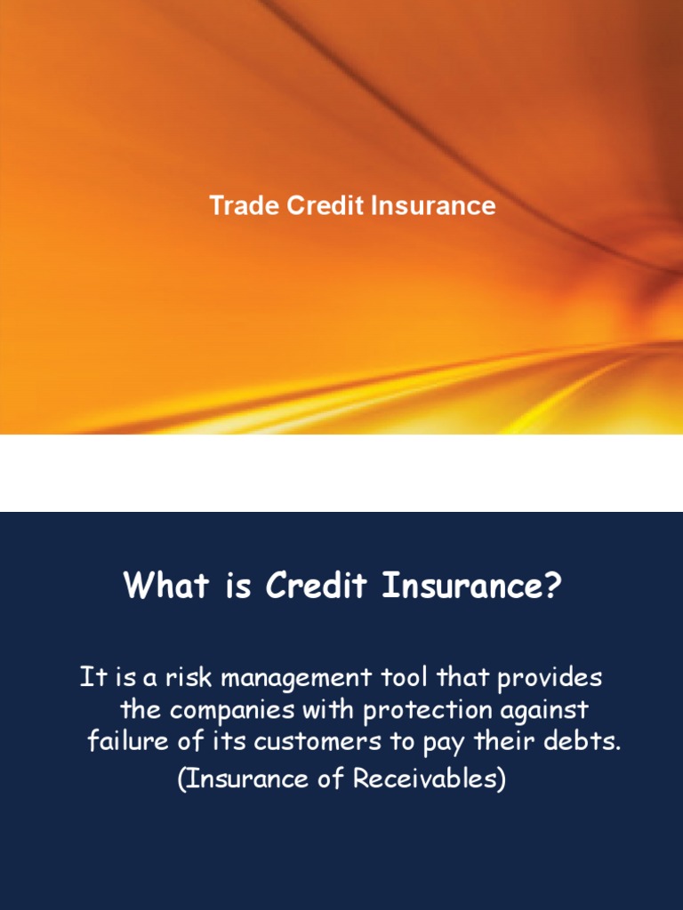 Overview of Trade Credit Insurance | PDF | Credit (Finance) | Insurance