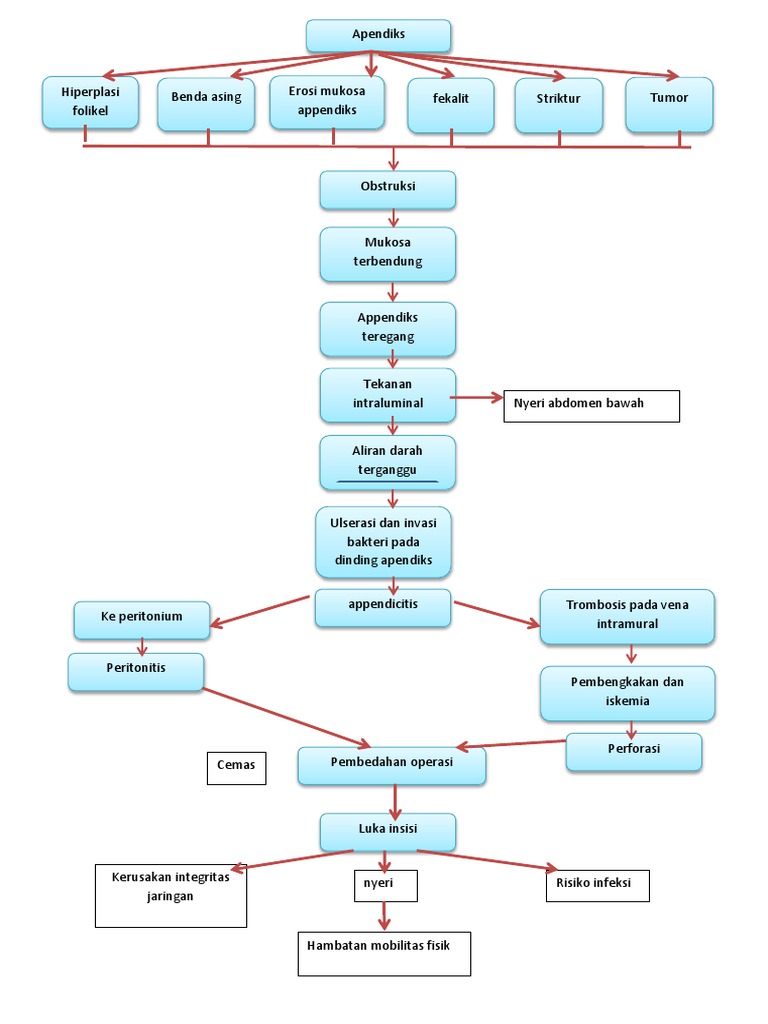 Pathways Appendix | PDF