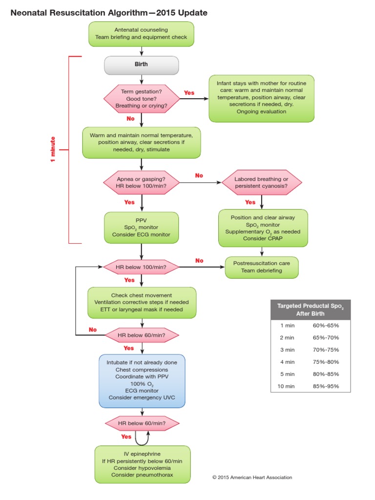 Neonatal Resuscitation Algorithm Pdf Cardiopulmonary Resuscitation Medical Treatments 