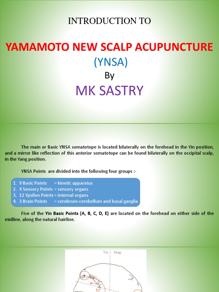 YNSA | PDF | Abdomen | Vertebral Column