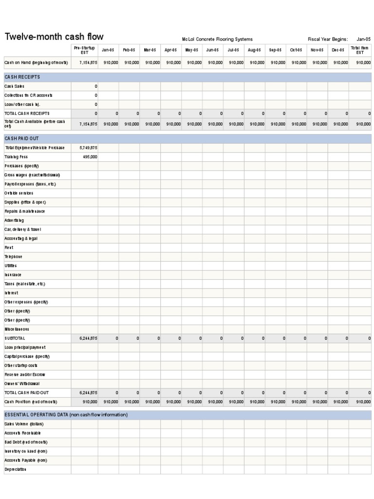 12 Month Cash Flow Statement1 | PDF | Expense | Taxes