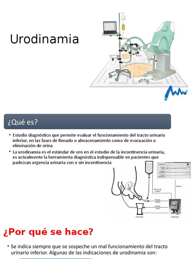 Urodinamia: Estudio y Procedimiento | PDF | Sistema urinario | Vejiga ...