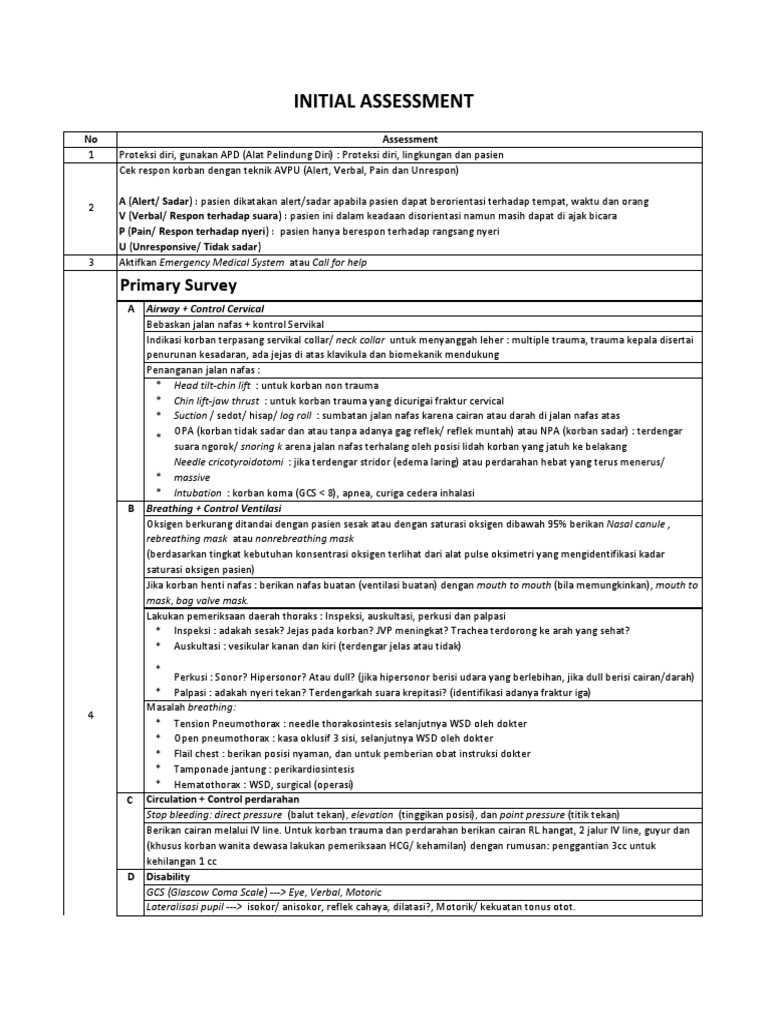 Initial Assessment | PDF