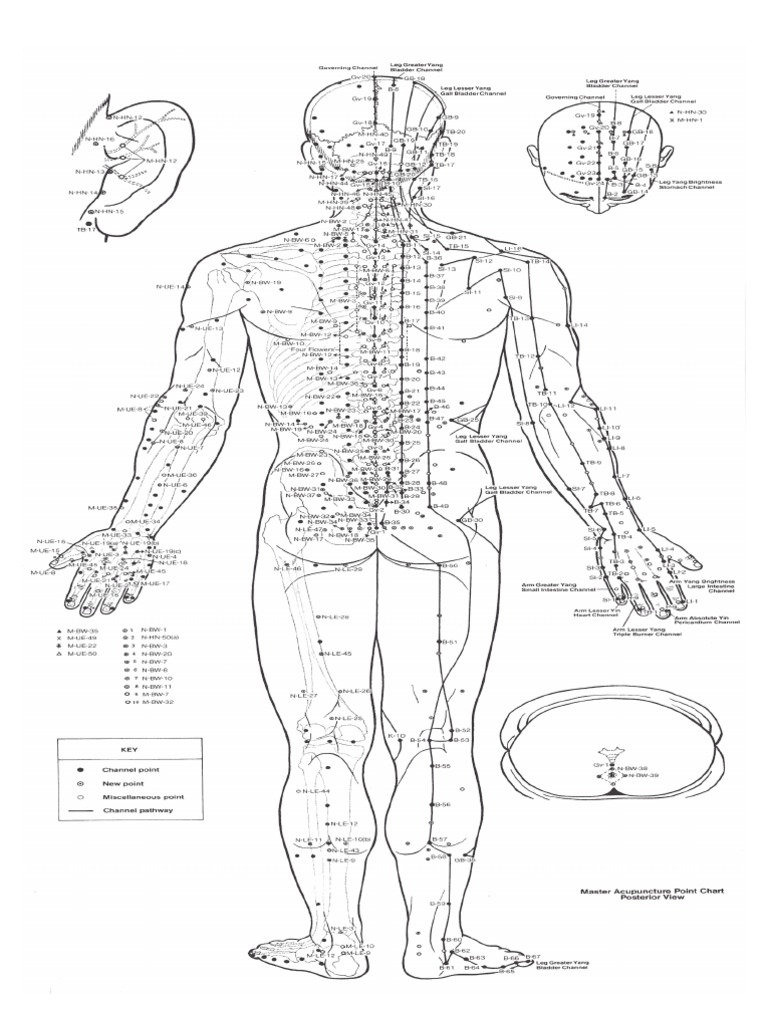 13288438 Dim Mak Sriking Chart
