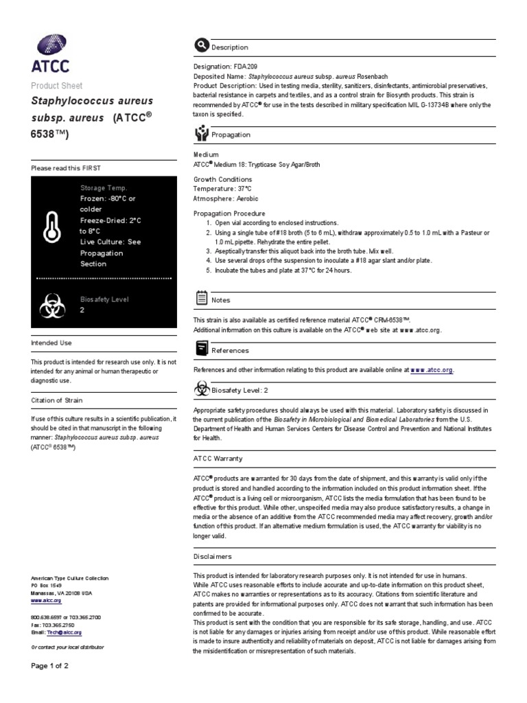 Cepa ATCC 6538 | PDF | Atcc (Company) | Staphylococcus
