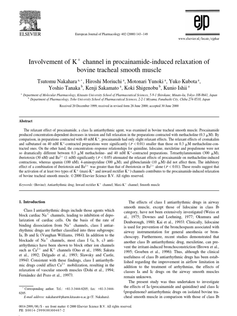 Potassium Channels | PDF | Smooth Muscle Tissue | Muscle Contraction
