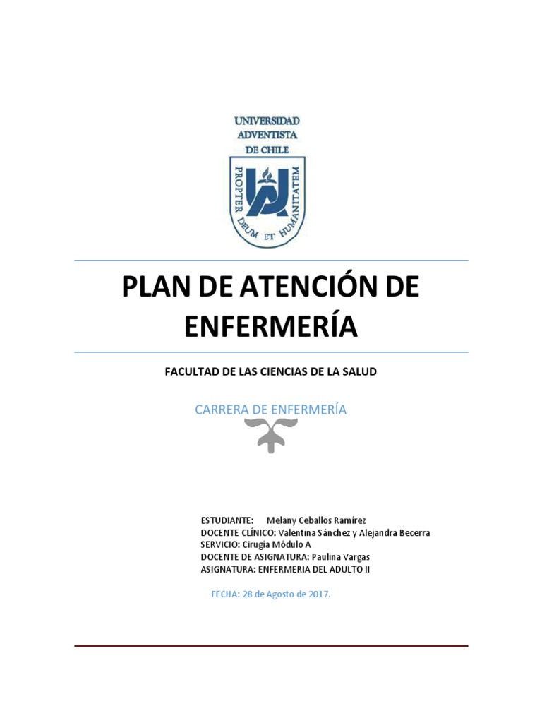 Mi Pae | PDF | Enfermería | Especialidades Medicas