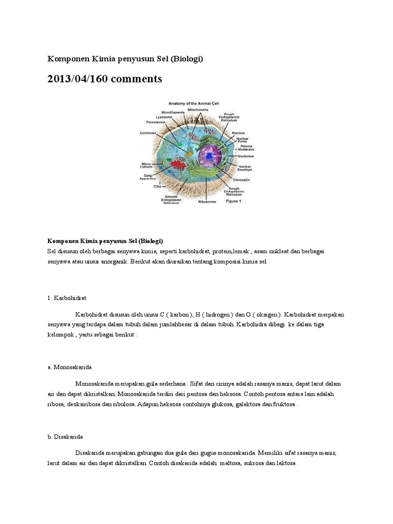 Komponen Kimia Penyusun Sel | PDF
