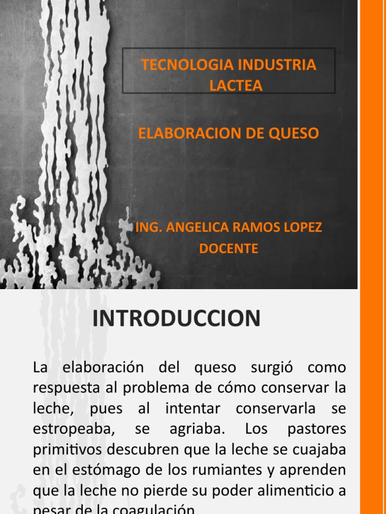 Elaboracion de Queso | PDF | Leche | Queso