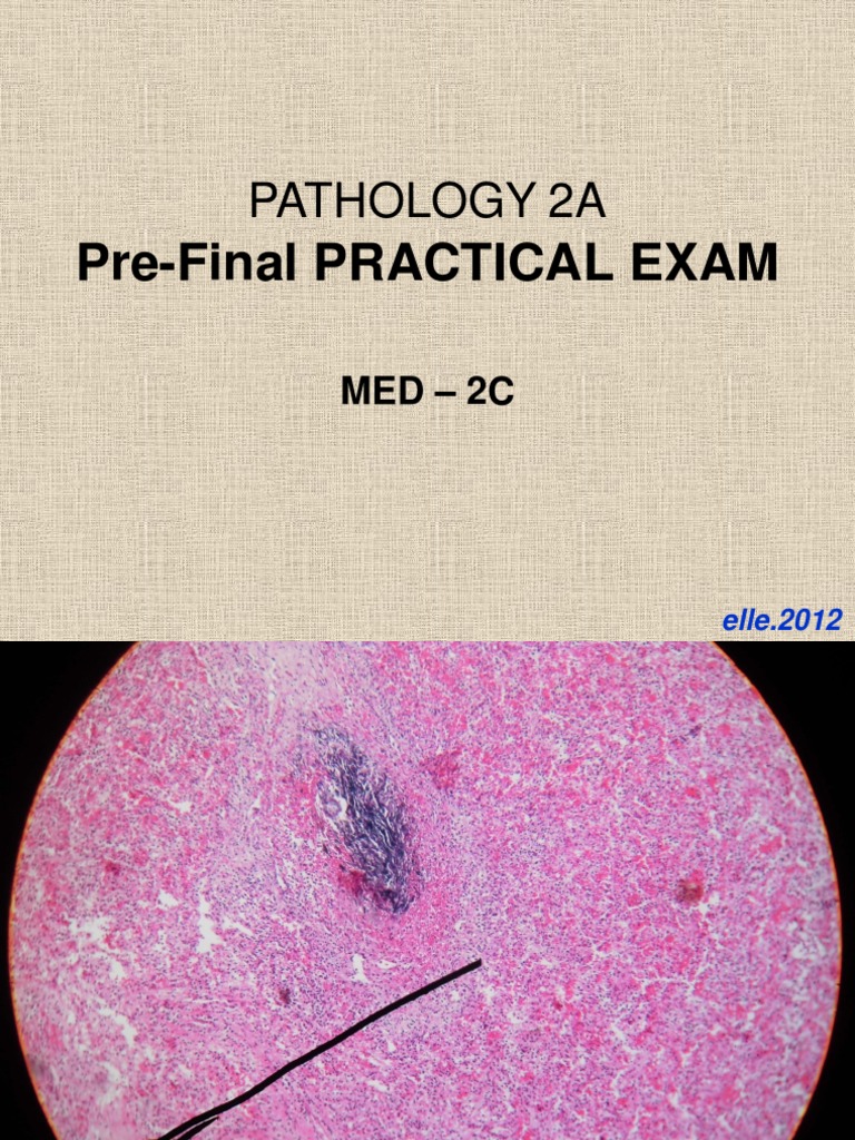 2C Pre Final Practical Exam | PDF