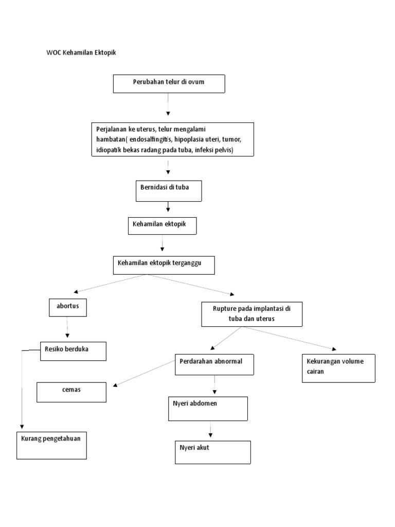 WOC Kehamilan Ektopik | PDF