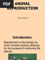 Anatomy and Physiology of Bull Reproductive System | PDF | Testicle ...