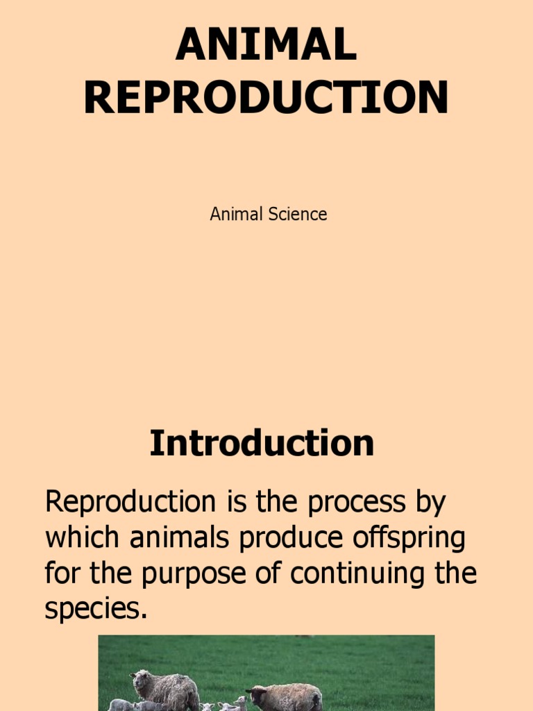 Animal Reproduction - Class Presentation | PDF | Reproductive System ...
