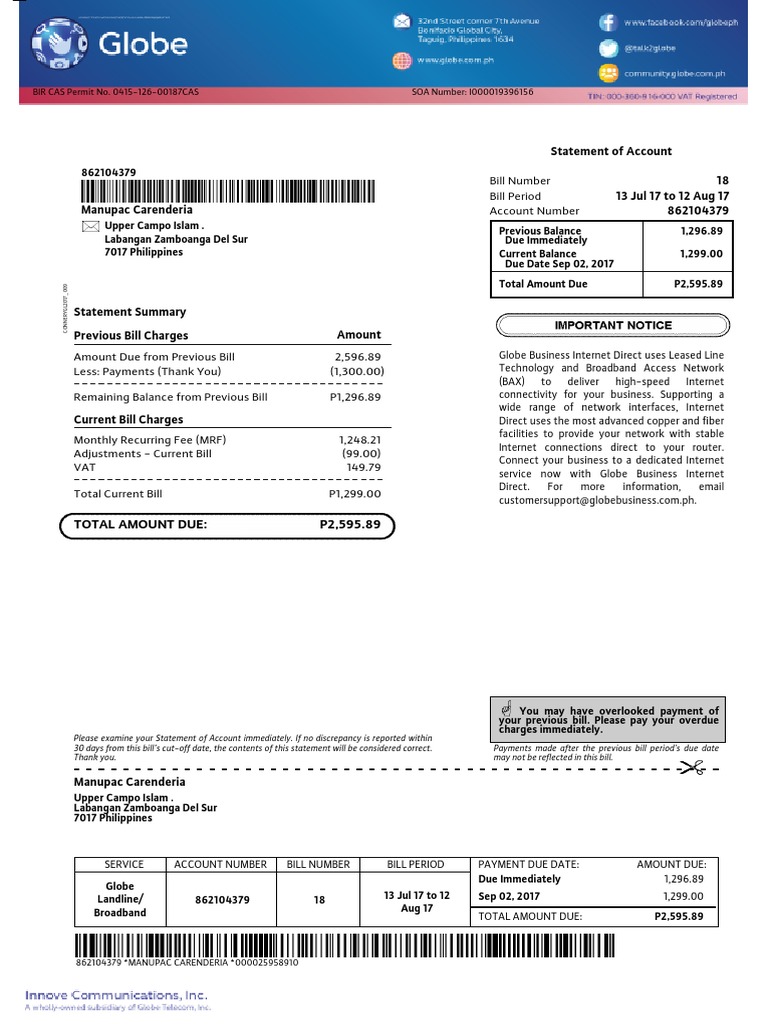 Globe Bill | PDF | Internet Access | Internet