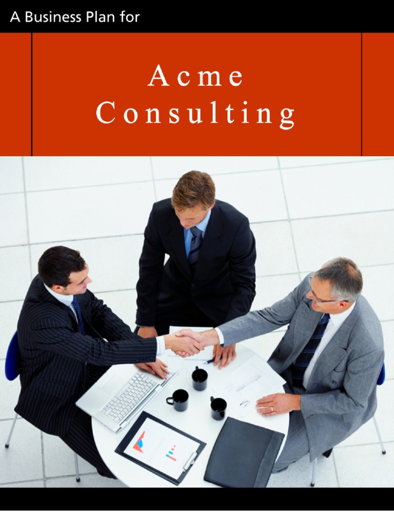 Acme Consulting Services Sample Business Plan | PDF | Business Plan ...