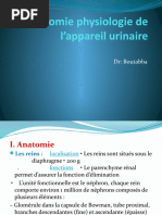 Cours No 01-Anatomie Et Physiologie | PDF