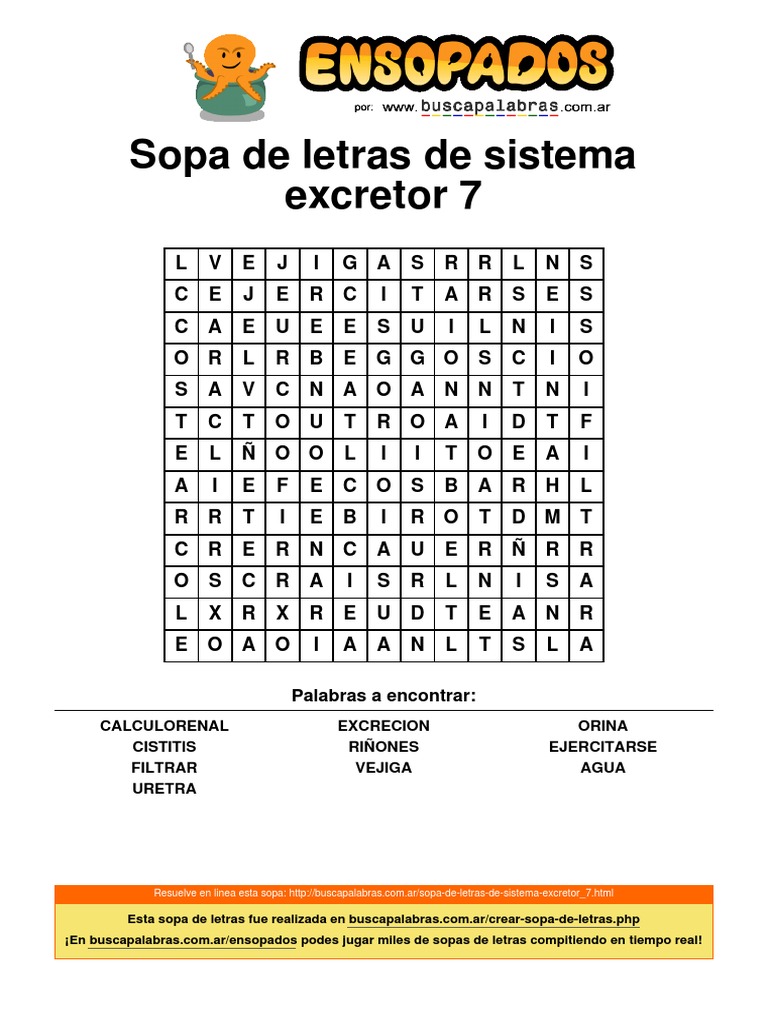 Sopa de Letras del Sistema Excretor | PDF