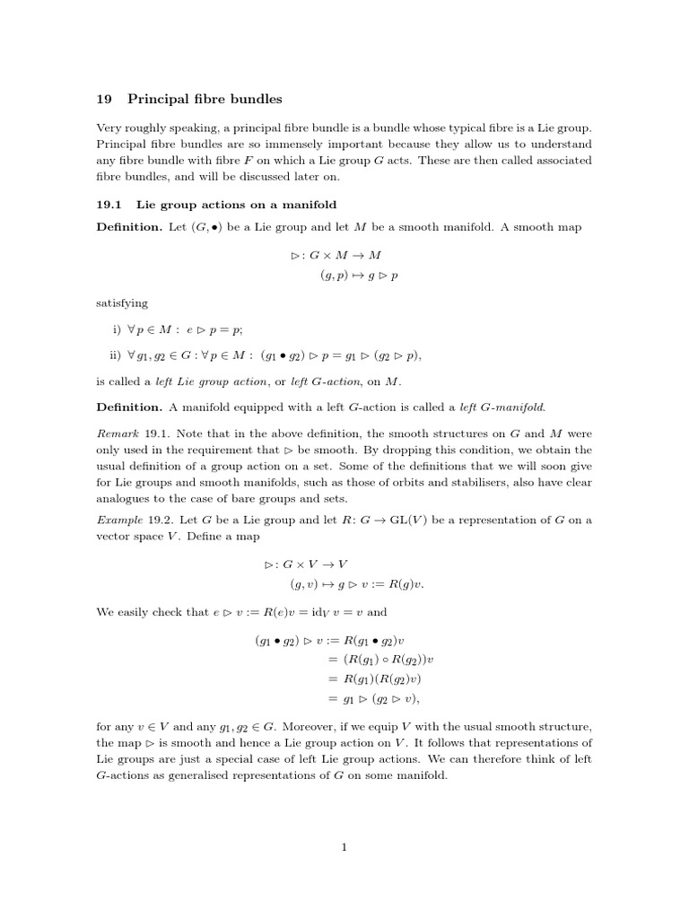 Principal Fibre Bundles Explained | PDF | Differentiable Manifold | Lie Groups