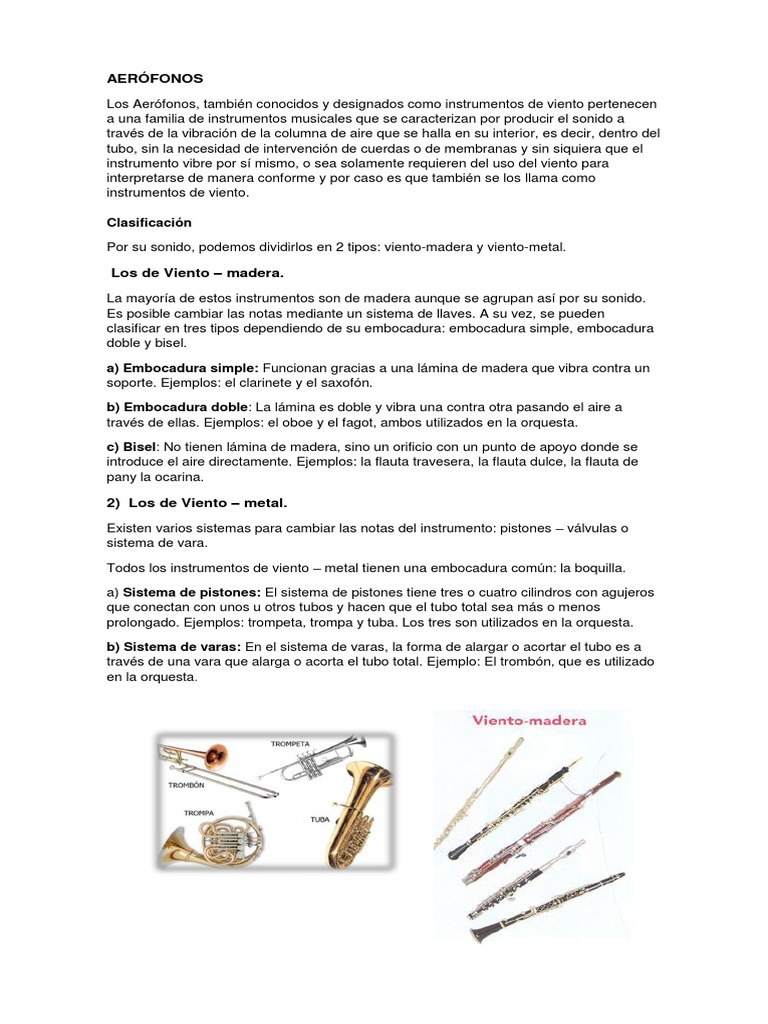Instrumentos de viento: clasificación y tipos de aerófonos | PDF ...