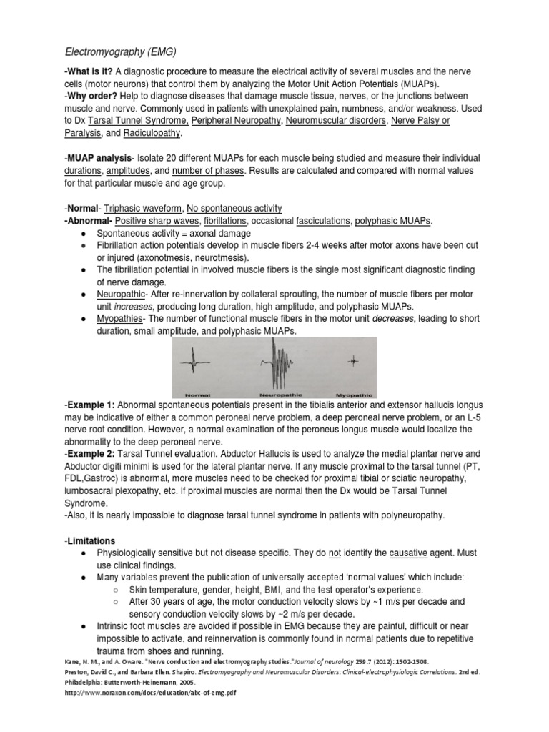 EMG and Polyphasic MUAP Analysis | PDF | Electromyography | Nerve