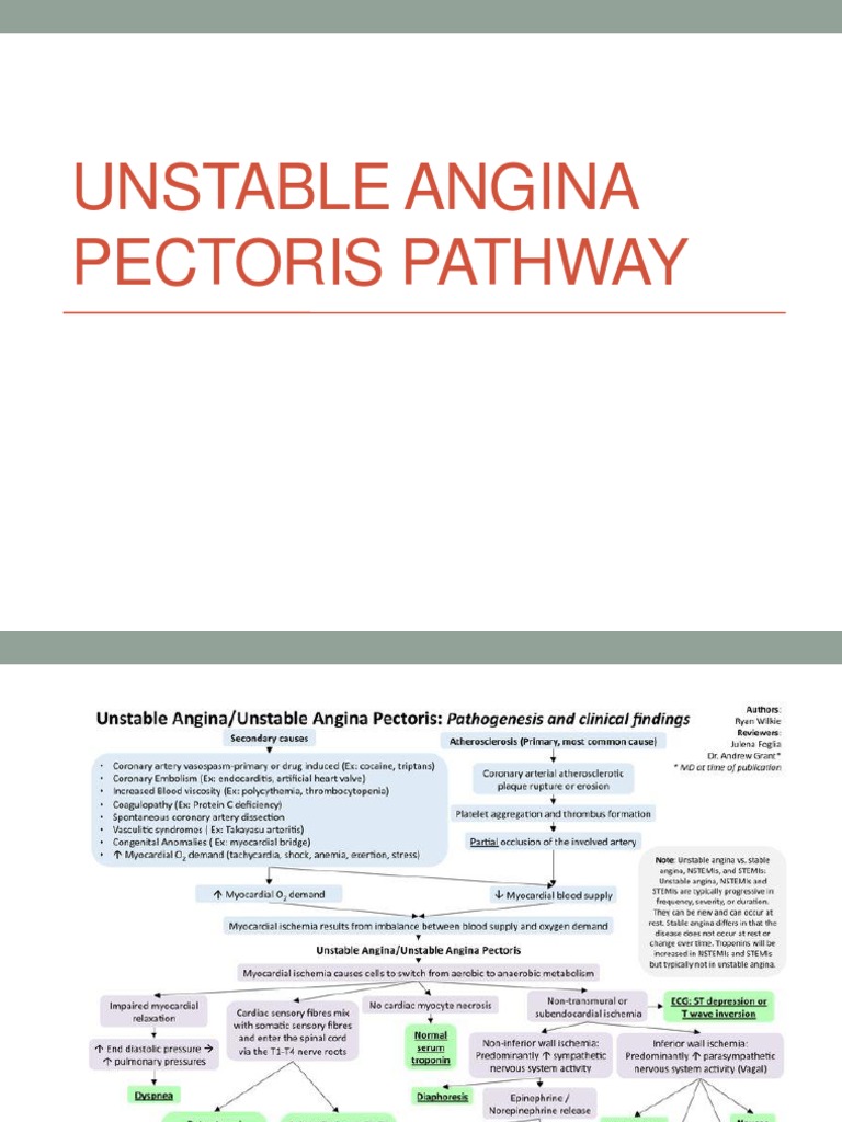 Unstable Angina Pectoris Pathway | PDF