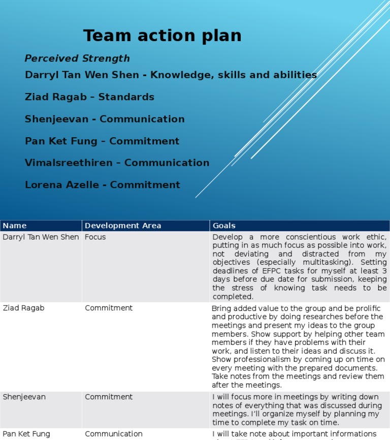 Team Action Plan | PDF