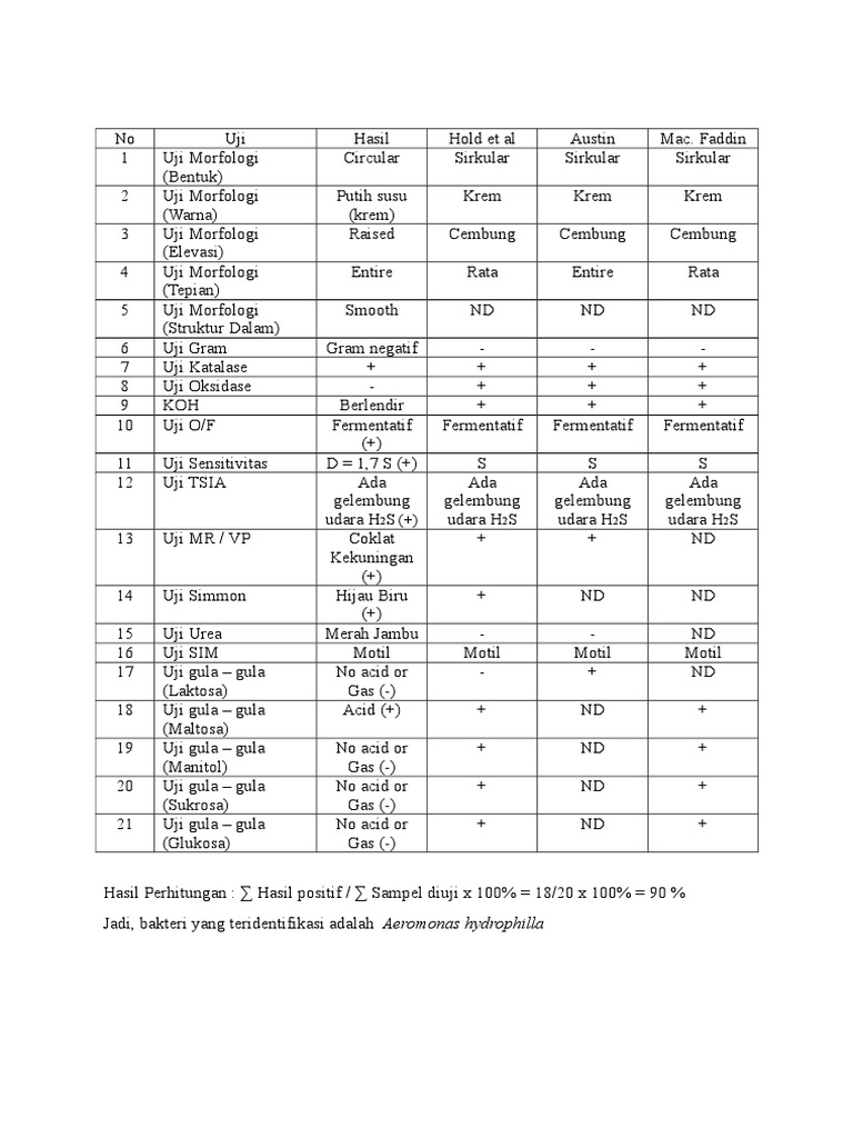 API I - Kelompok 5 & 6 - BP - C - Tabel Hasil Identifikasi Bakteri ...