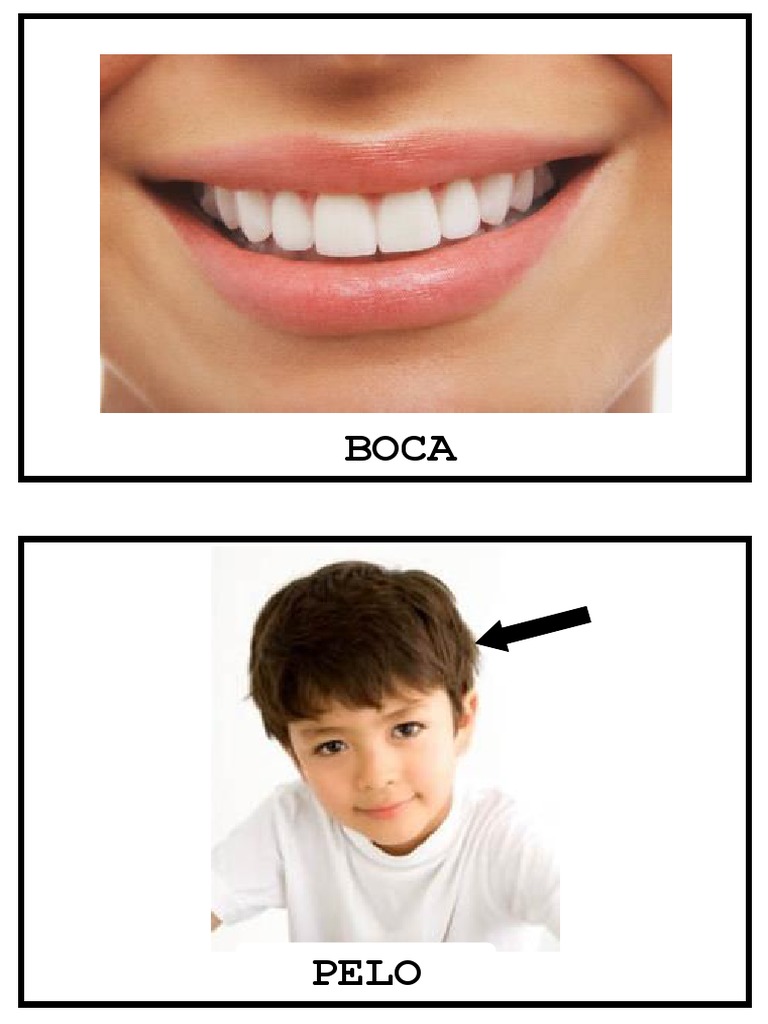 Bits De Las Partes Del Cuerpo A2 Pdf