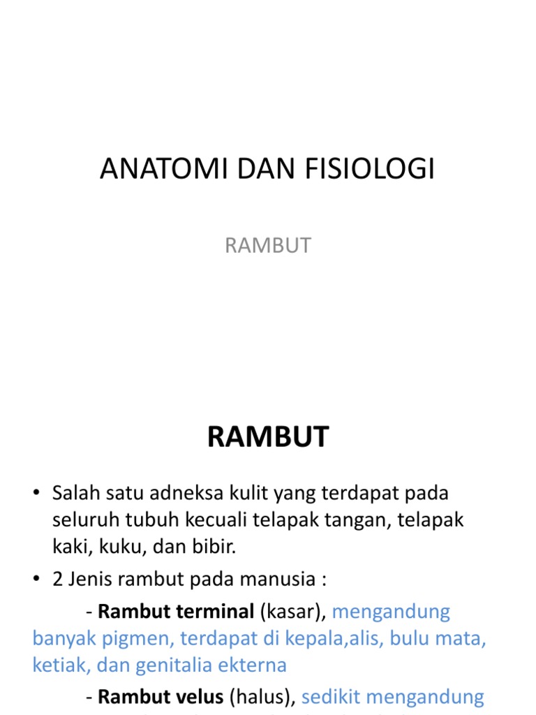 Anatomi Dan Fisiologi Rambut-1 | PDF