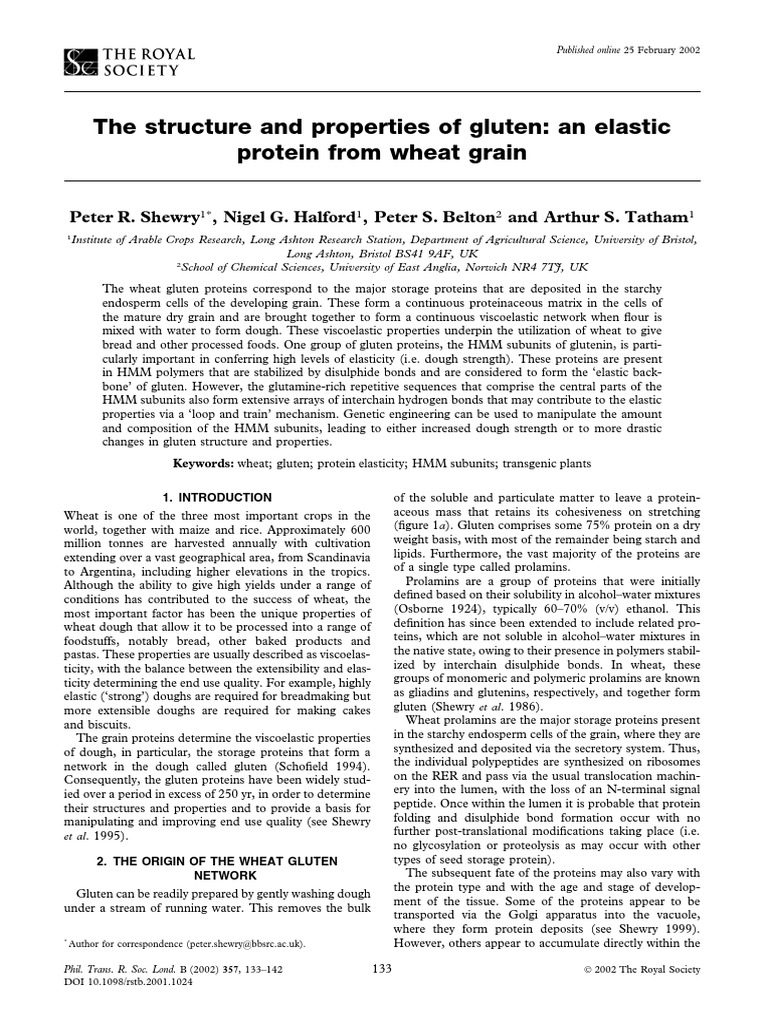 Structure and Properties of Gluten | PDF | Protein Domain | Amino Acid