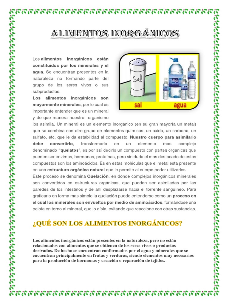 Alimentos Inorgánicos: Definición y Ejemplos | PDF | Alimentos | Agua