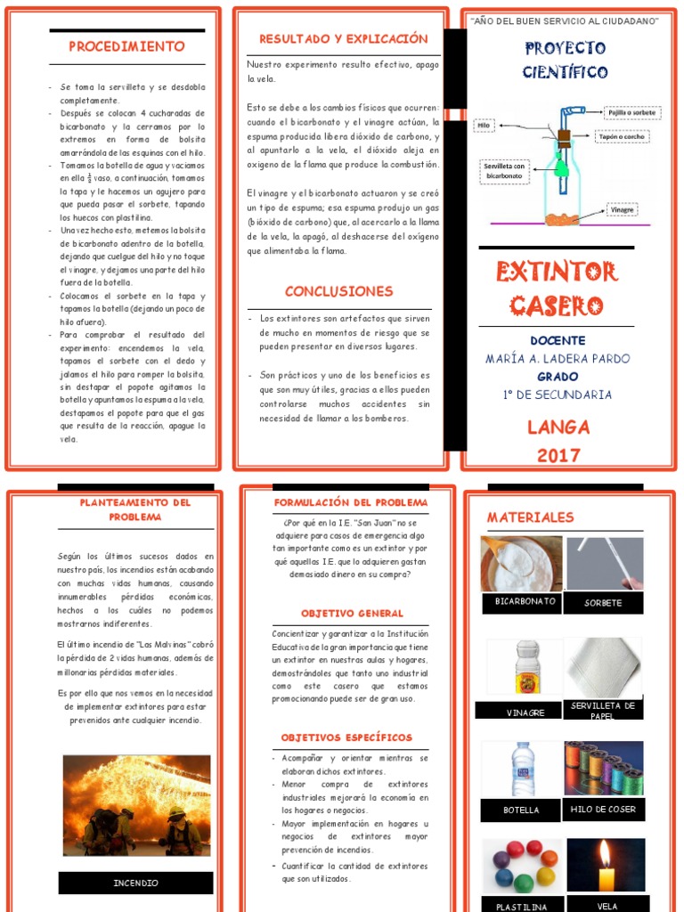 Triptico Experimento | PDF | Naturaleza