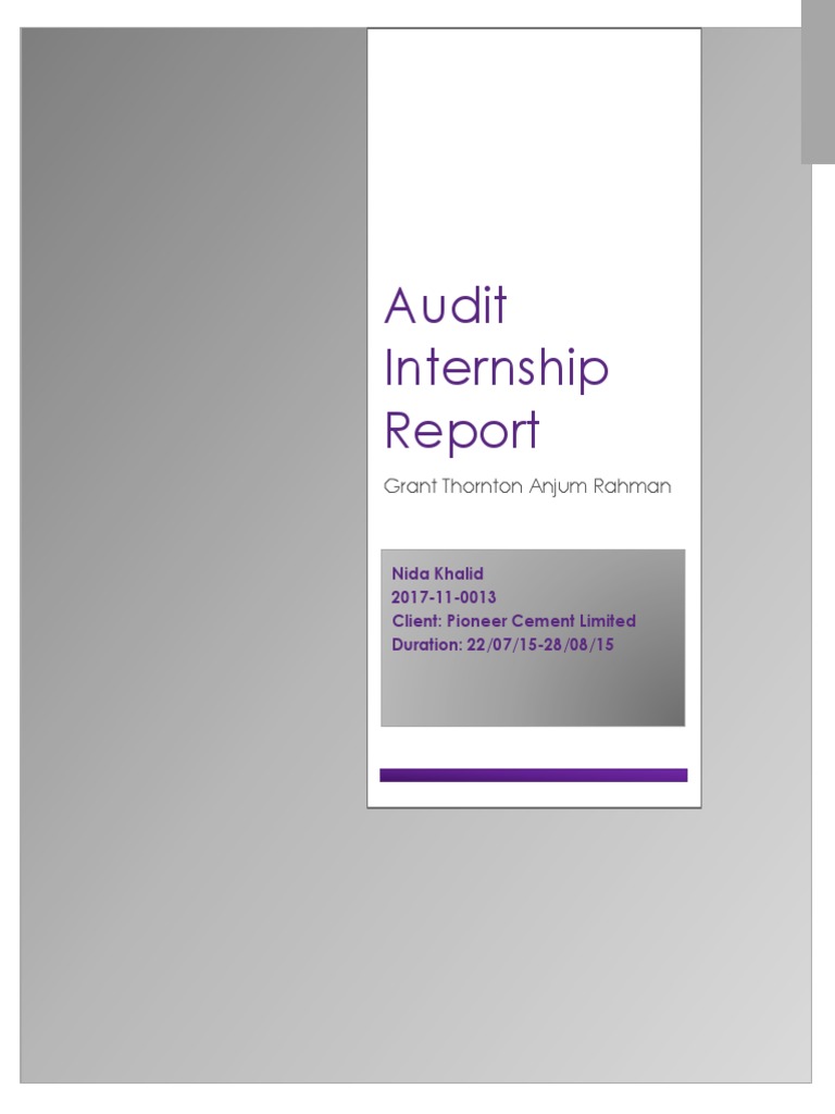 Audit Internship Report Nida Dk Pdf Internal Control Going Concern