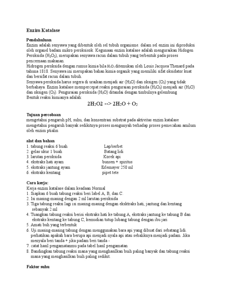 Enzim Katalase | PDF