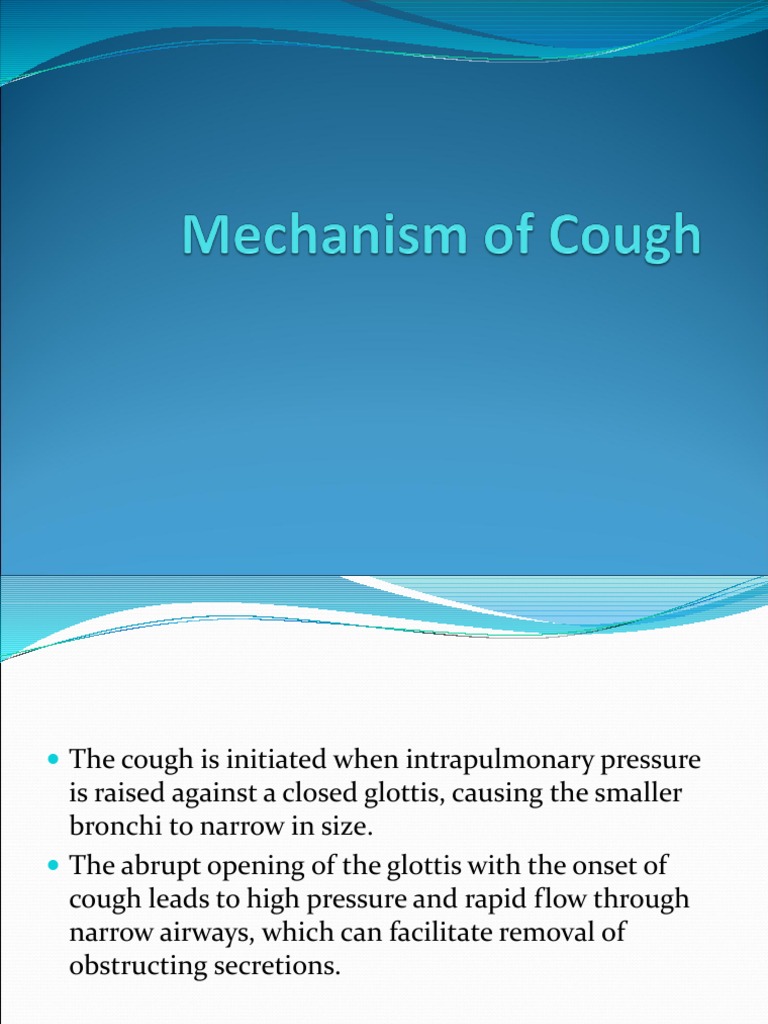 Mechanism of Cough Reflex Explained | PDF